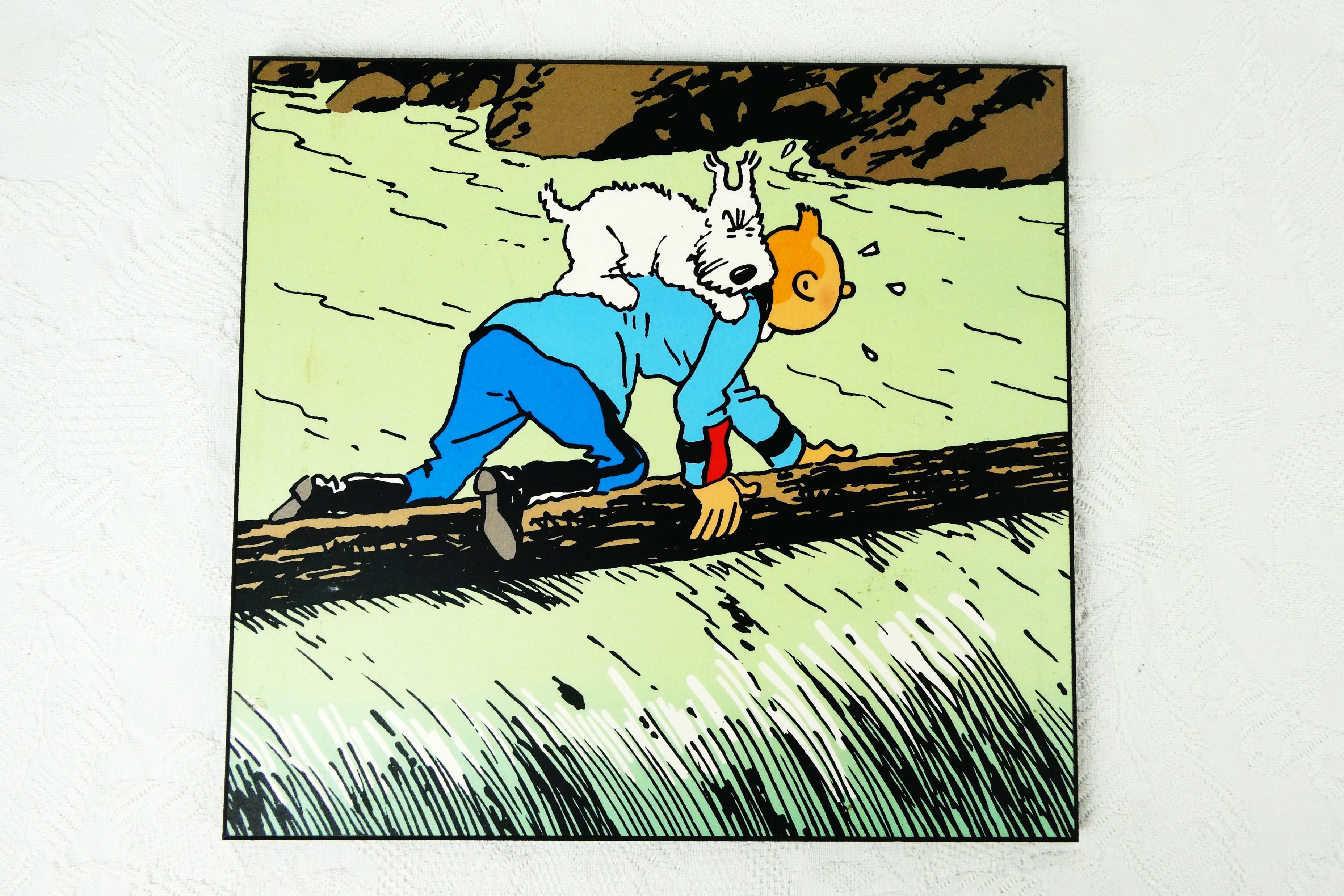 🏠 Affiche carrée Tintin et Milou pour la maison pas cher et solidaire ...