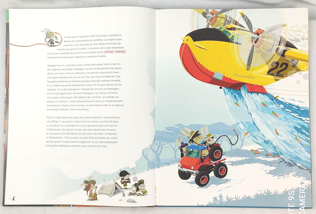 livre a la recherche de la carotte bleue" les metiers" - Label Emmaüs