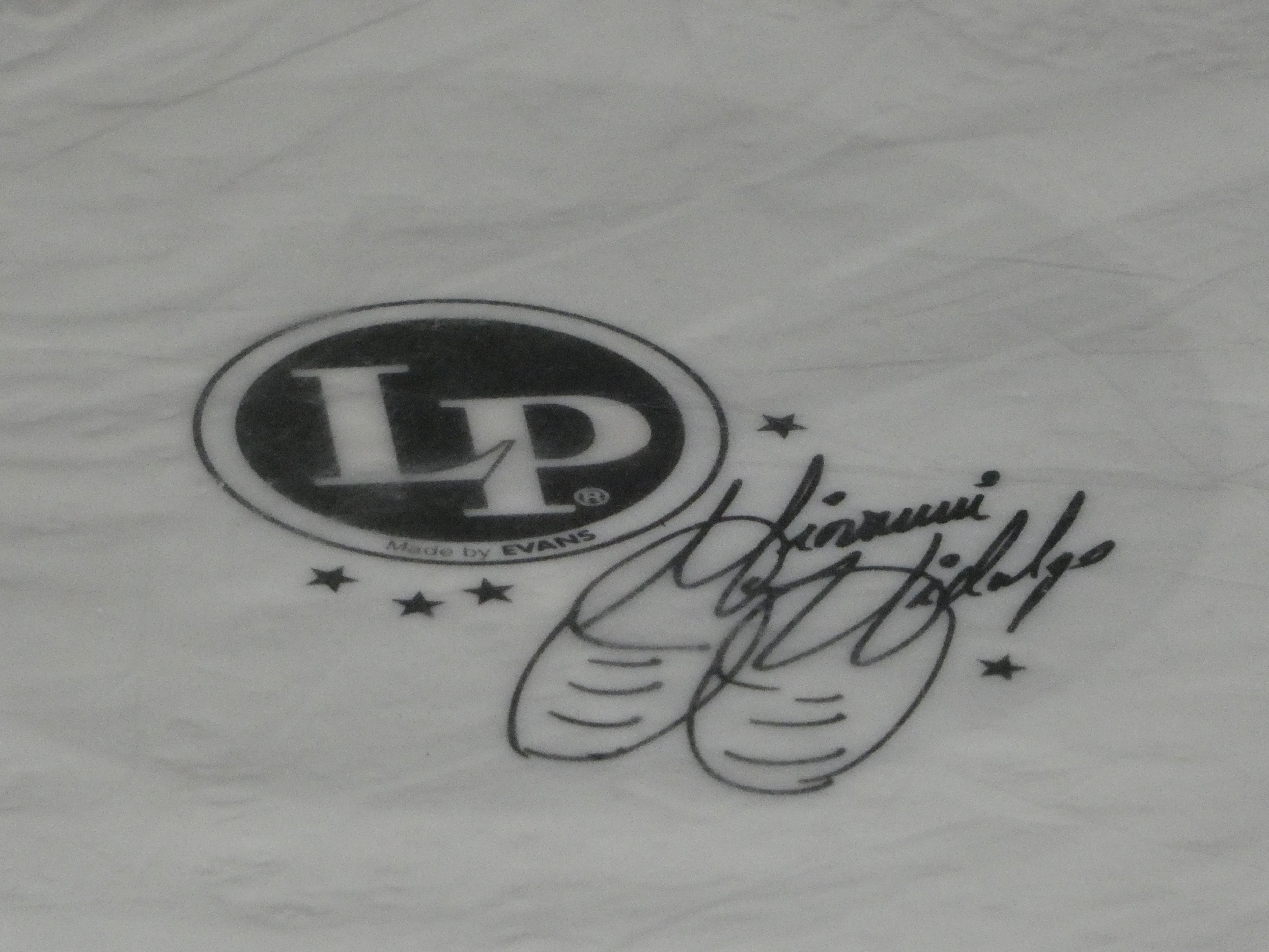 Conga compacte 11 pouces 3/4 de la marque LP avec une peau de chez ...