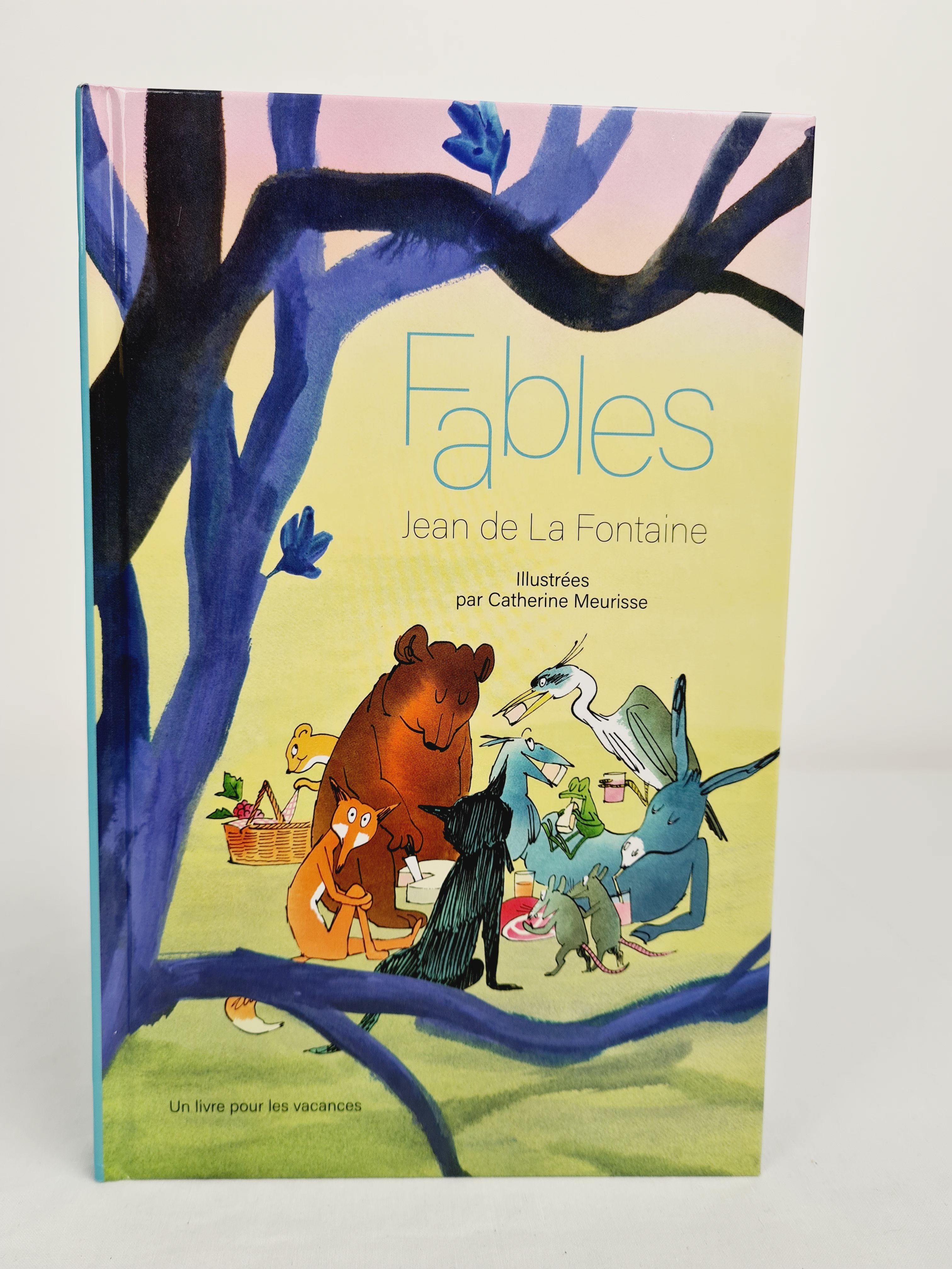 Livre jeunesse - Fables de la Fontaine - illustrées par Catherine ...